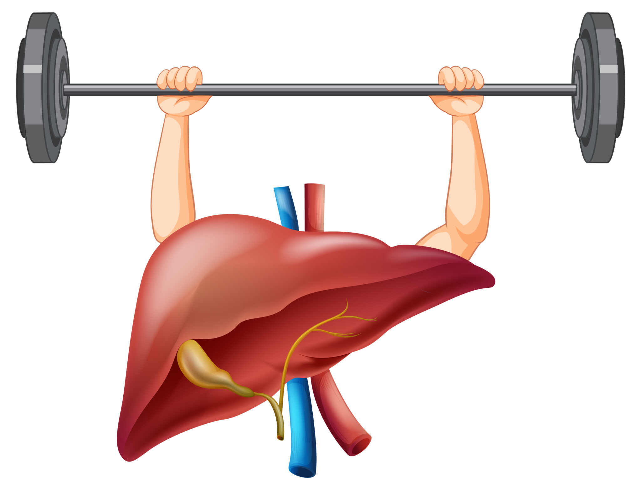 AlchemLife – Kanıta Dayalı Fitoterapi Ürünleri